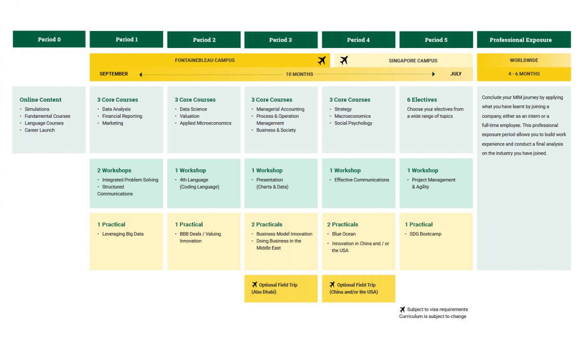 INSEAD MiM Program - All you need to know